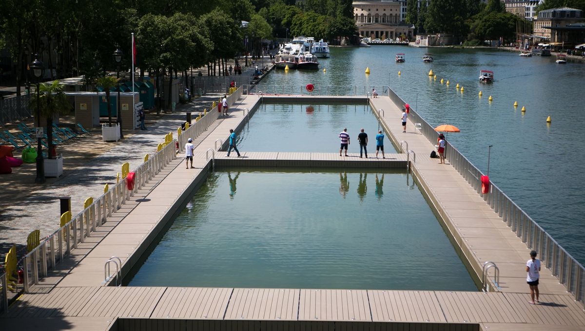 Baignade dans la Seine : tout ce qu’il faut savoir avant de plonger cet ...